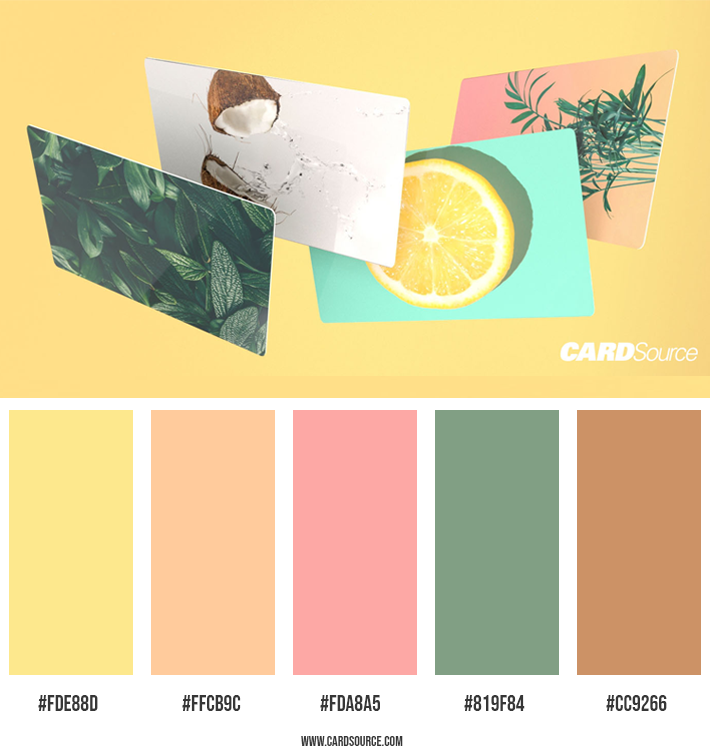 11 Creative Color Palettes to Help You With Your Next Project